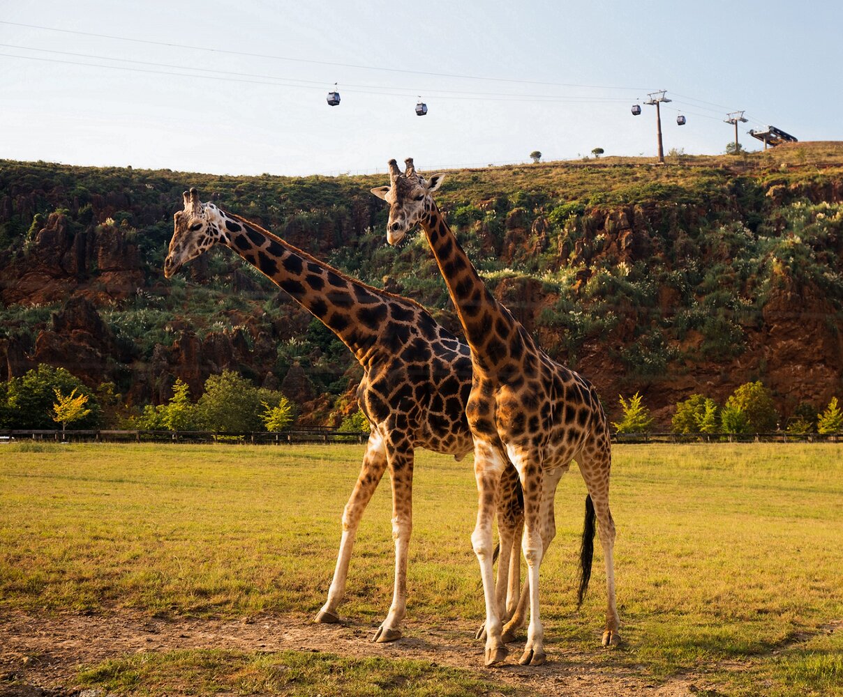 HTI - HTI High Technology Industries